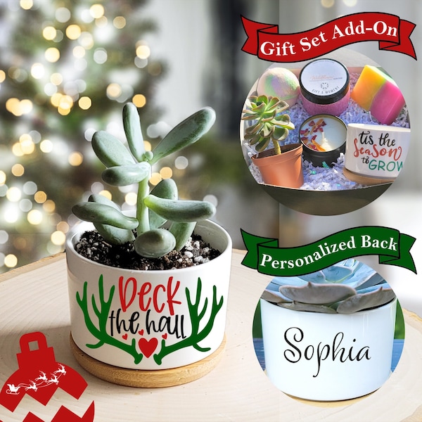 Succulent Gift Box - 60+ Gift Ideas for 2025