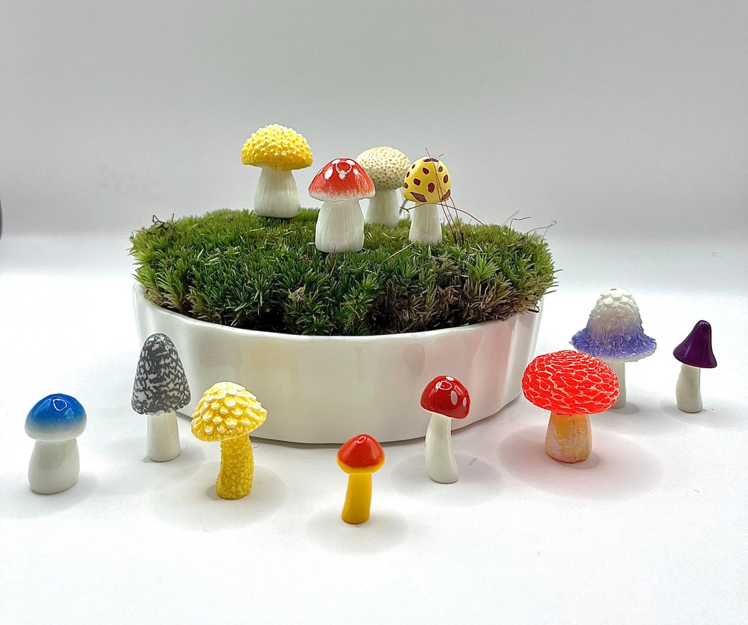 Mini Mushrooms | Toadstools | Indoor Garden Accessories | Houseplants ...