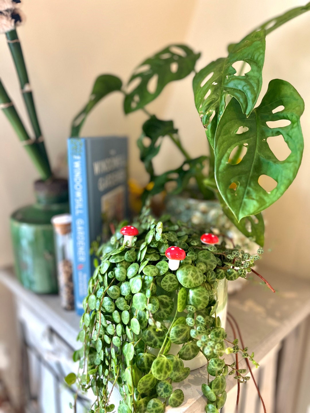 Mini Red Mushrooms | Toadstools | Indoor Garden Accessories ...