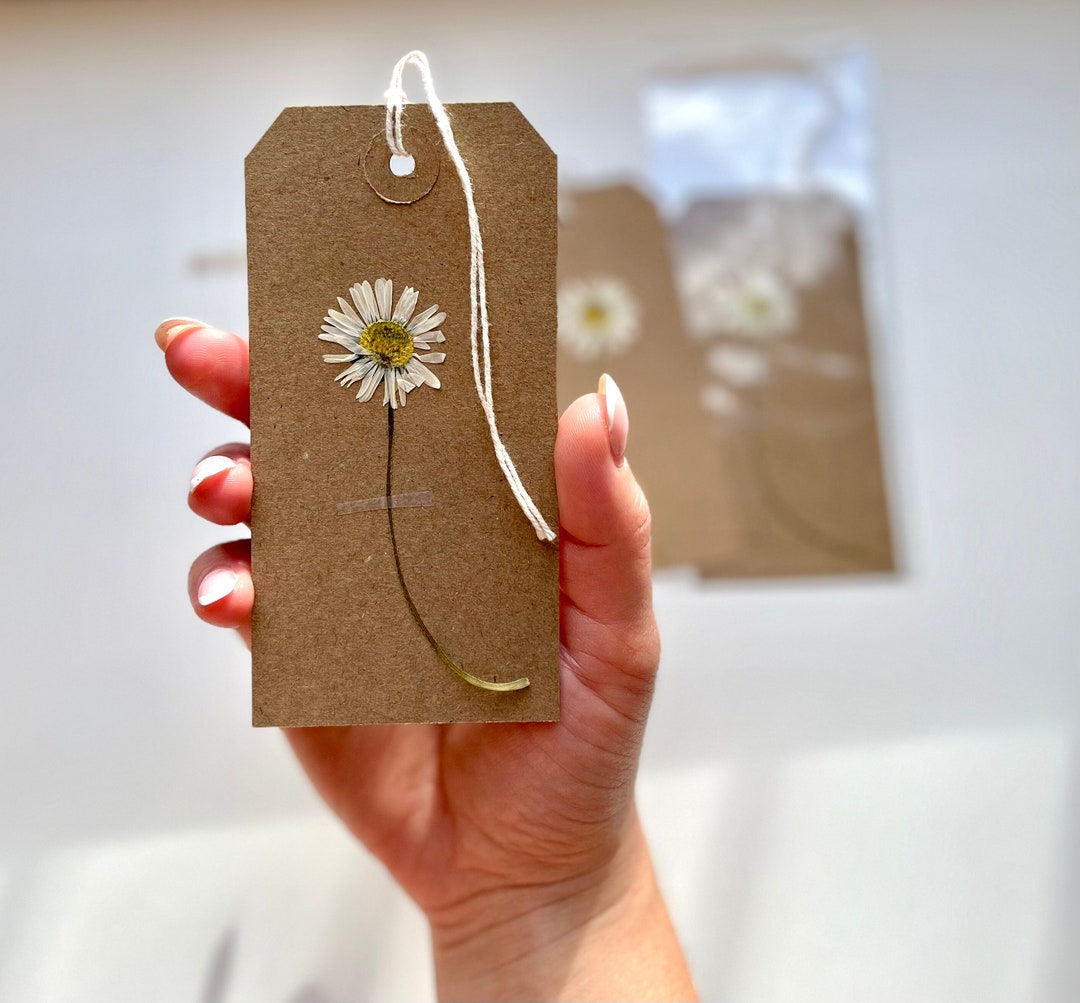Eco Gift Tags | Daisy Pressed Plant | Live Plant | Organic ...