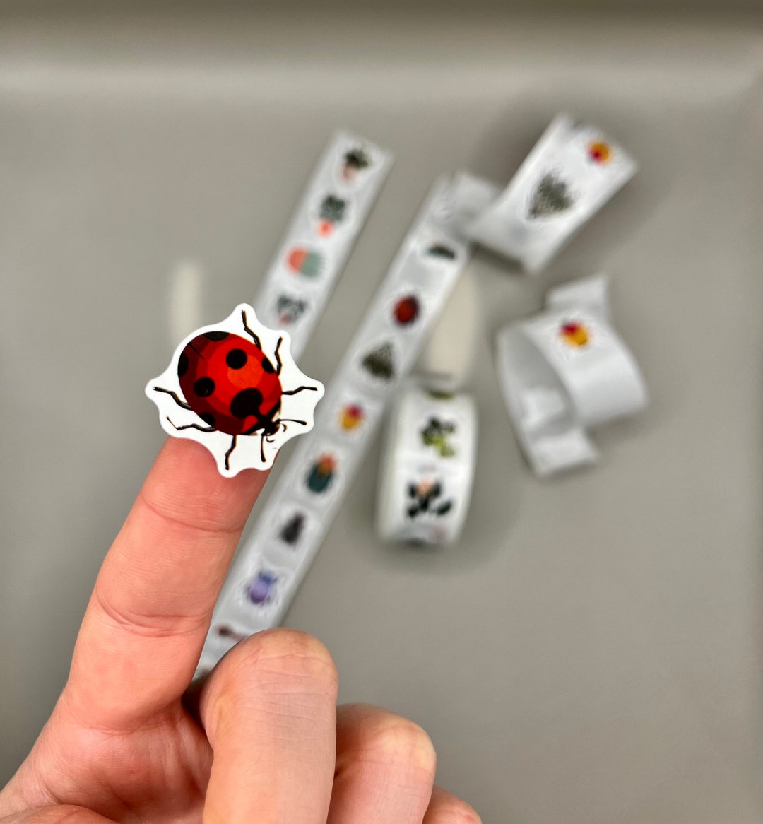 Strickers Plants and Insects | Plant Accessories | Notebook Paper Diary ...