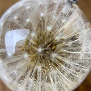 Dandelion Necklace, Dandelion Jewelry, Dandelion Pendant, Dandelion in ...
