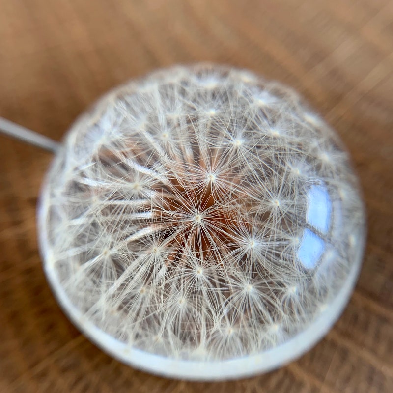 Dandelion Brooch - Etsy