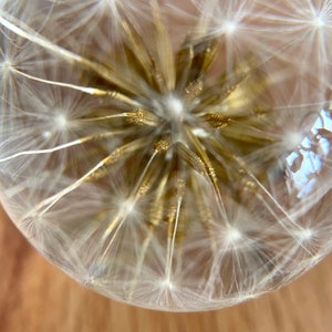 Dandelion Necklace, Dandelion Jewelry, Dandelion Pendant, Dandelion in ...