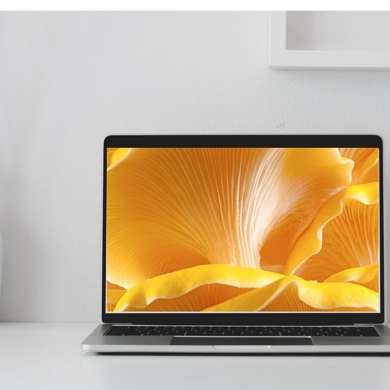 Mushroom Desktop Wallpaper | Zoom Background | Digital Virtual ...