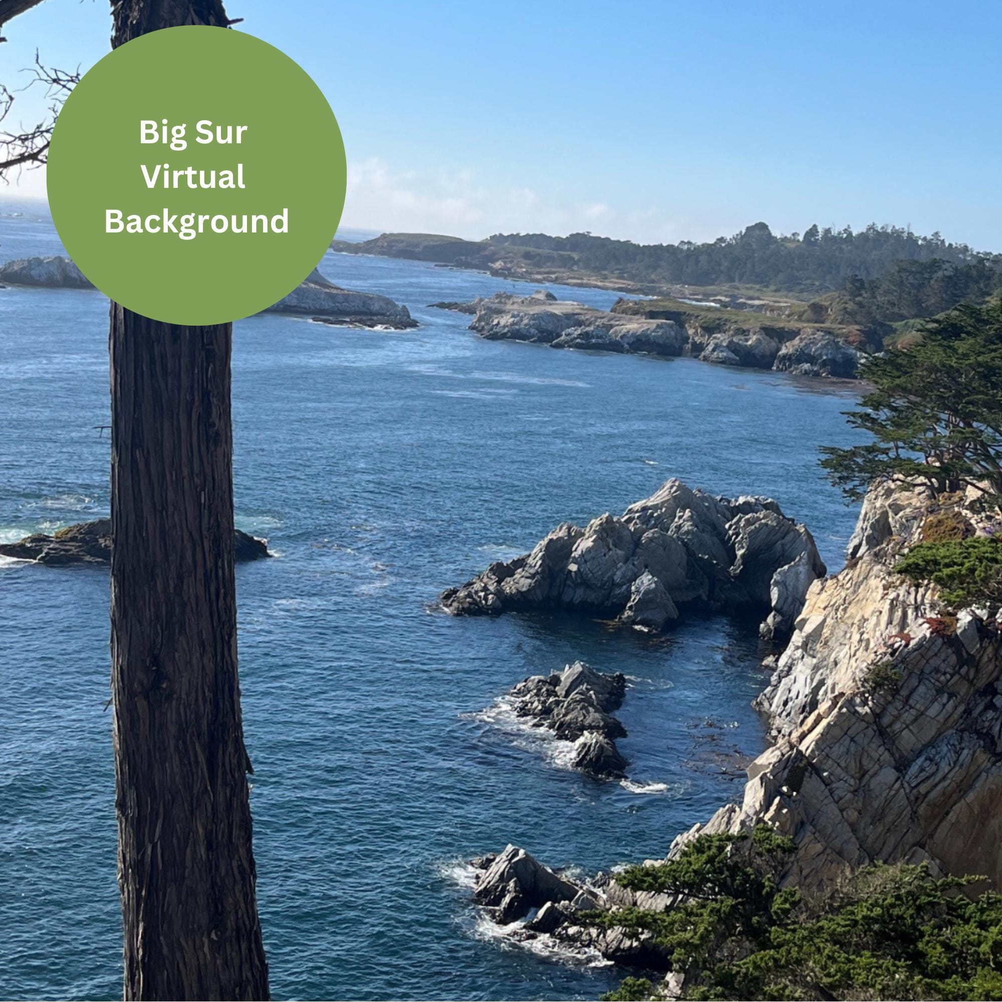 Zoom Background Big Sur Virtual Background for Microsoft Teams, Skype ...