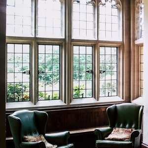 Formal Library Bookshelf Zoom Background, Digital Virtual Background ...