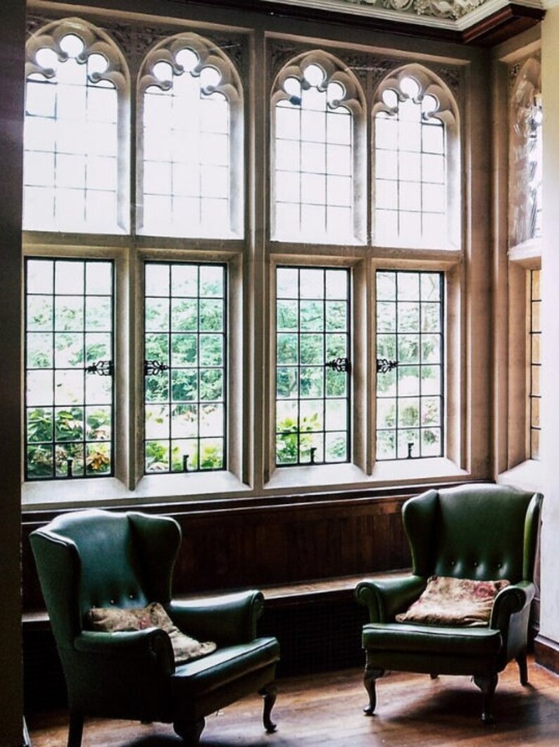 Formal Library Bookshelf Zoom Background, Digital Virtual Background ...