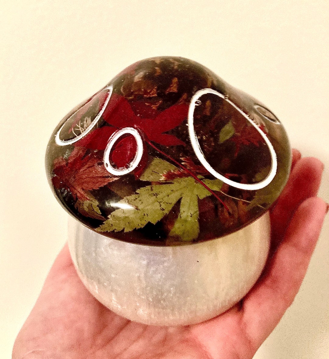 Colorful Resin Mushroom Toadstool Jars - Etsy
