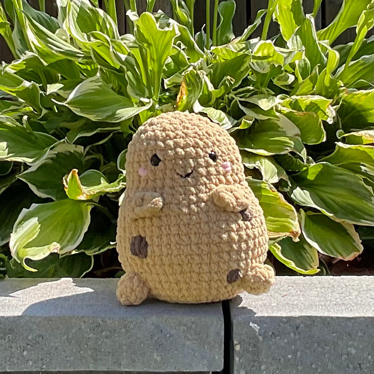 Spud the Baby Potato - Etsy