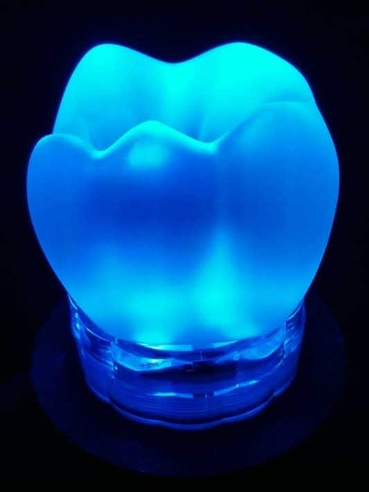 Glowing Tooth Sculpture Bleached Edition - Etsy