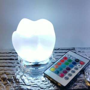 Glowing Tooth Sculpture - Bleached Edition With LED Base and Remote - Etsy