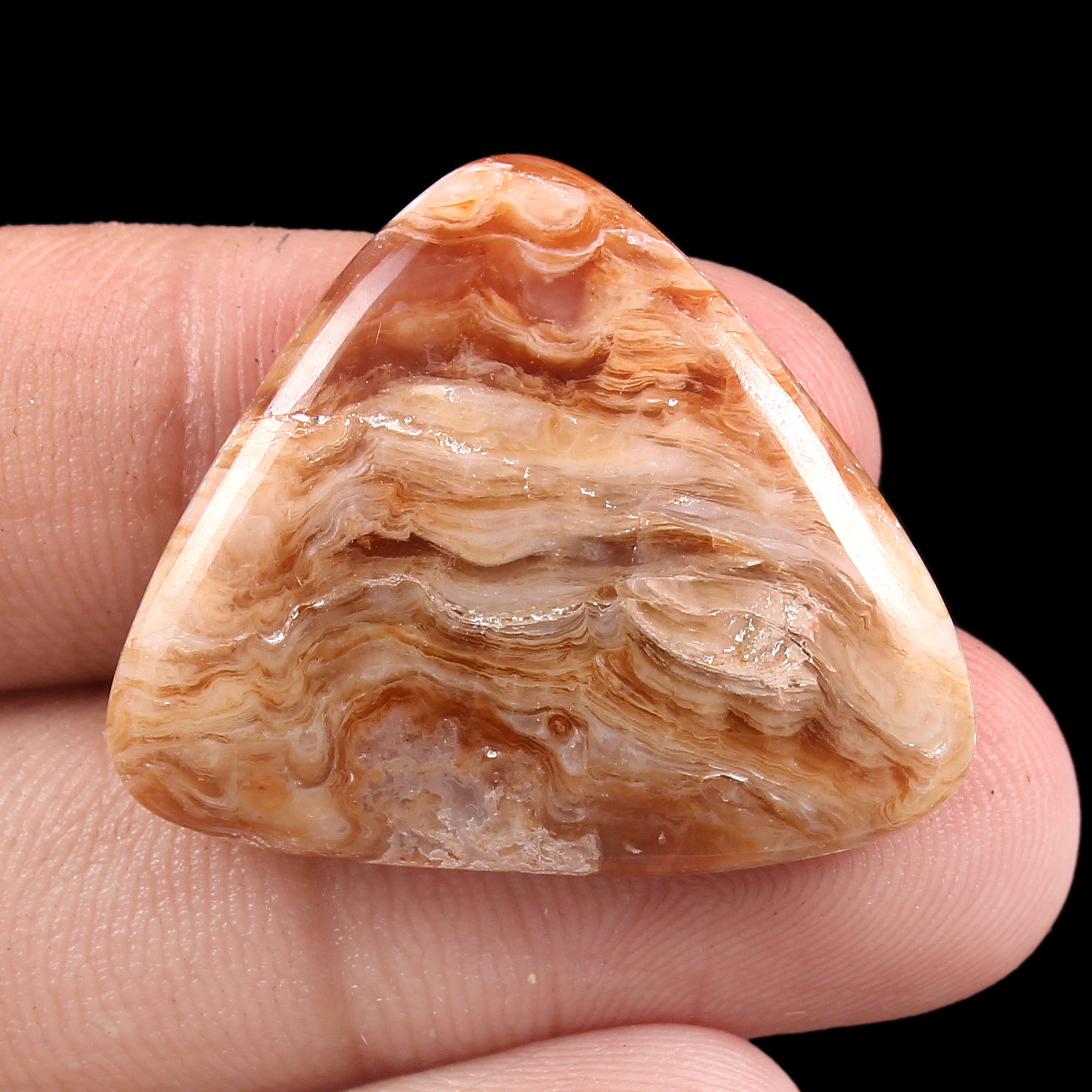 Natural Turritella Agate Gemstone Top Quality Turritella | Etsy