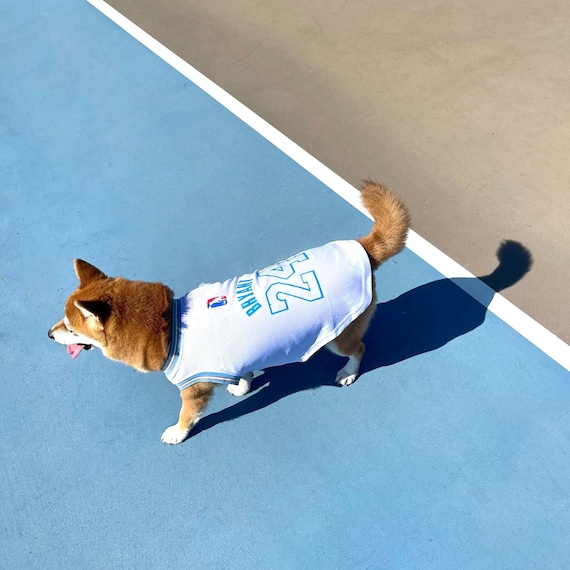 Basketball Dog Clothes