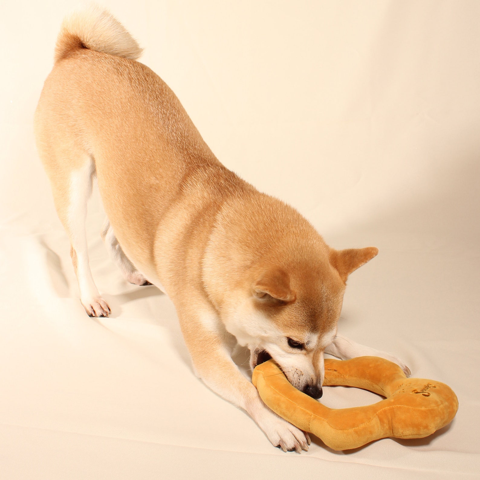 Taiyaki Squeaky Boop Ring Dog Toy Pet Toy Fish Shaped Dessert - Etsy