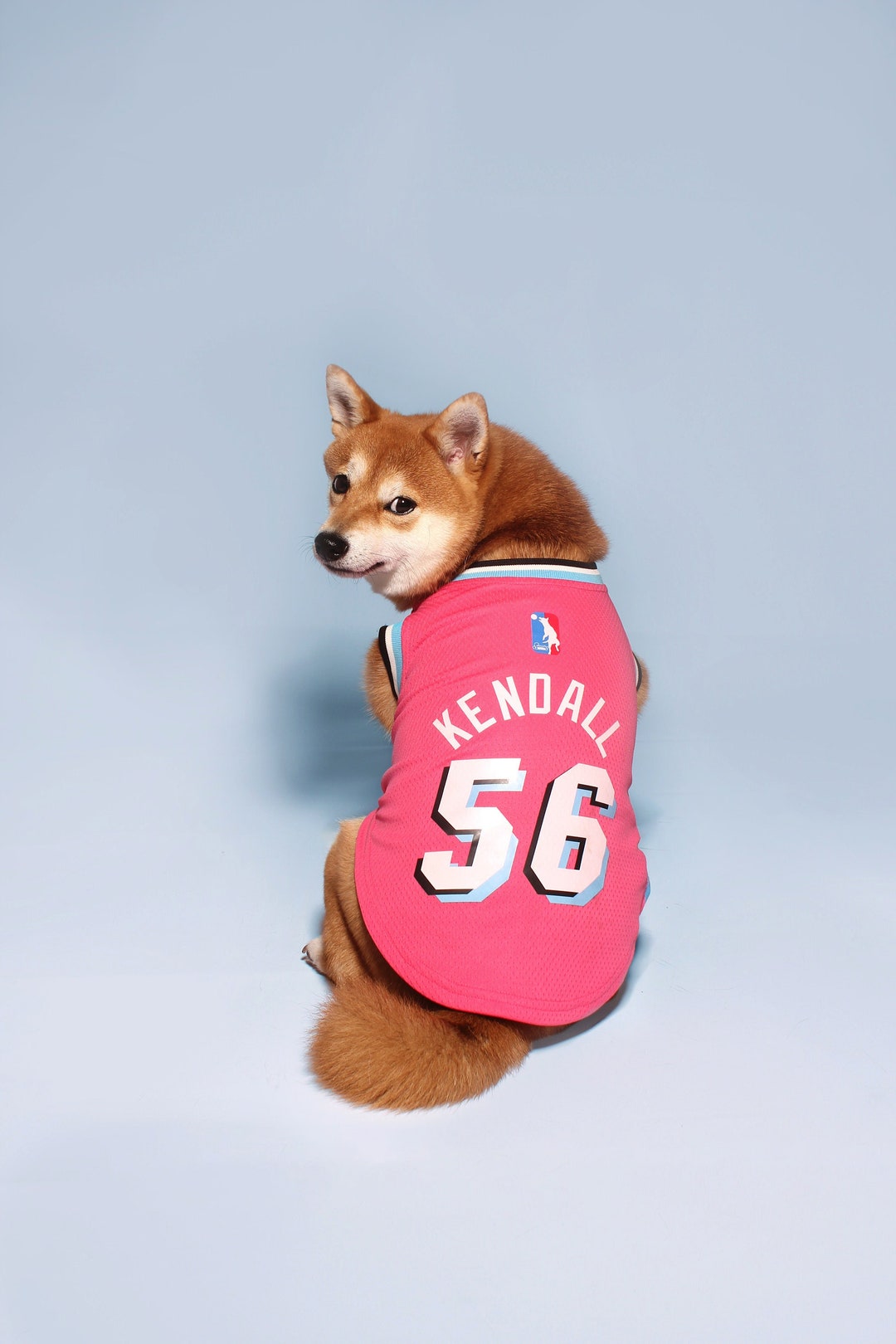 Personalized Customized Name Pet Dog Cat Puppy Basketball Breathable ...