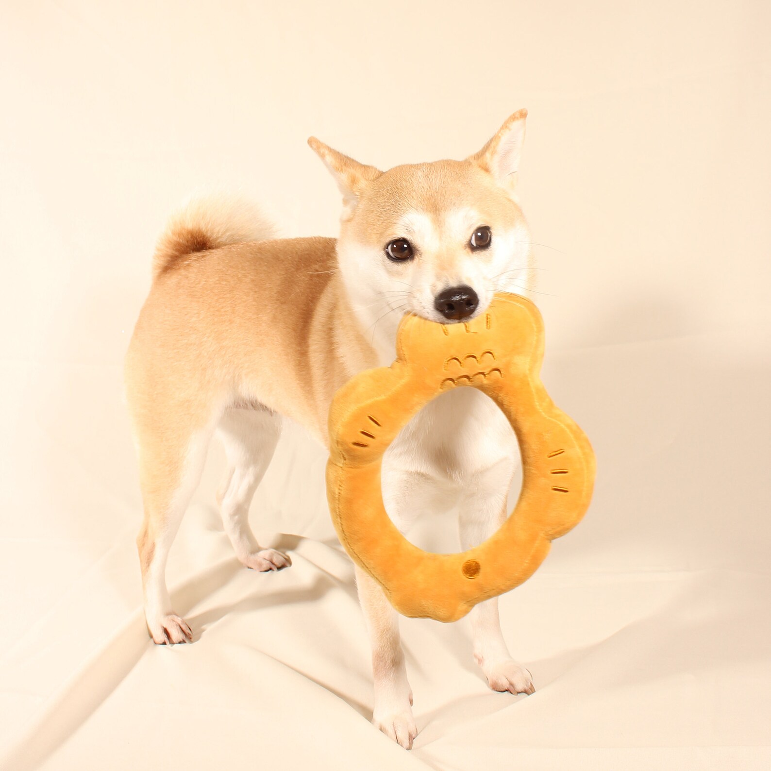 Taiyaki Squeaky Boop Ring Dog Toy Pet Toy Fish Shaped Dessert - Etsy