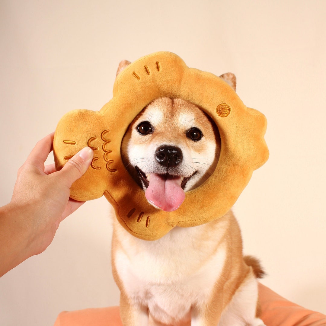 Taiyaki Squeaky Boop Ring Dog Toy Pet Toy Fish Shaped Dessert Snack Food Plushie Etsy