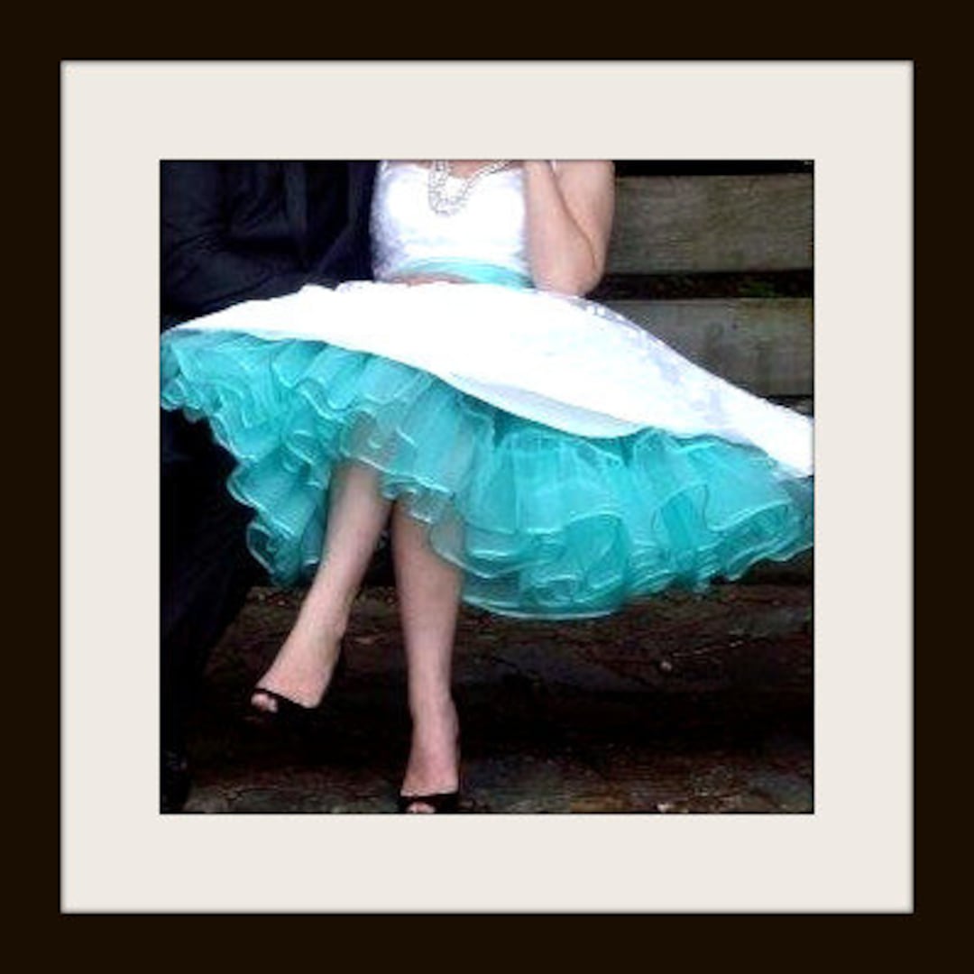 Miss Aggie Extra Full Organza Petticoat Tutu ~ Ruffled Poof That Can't ...