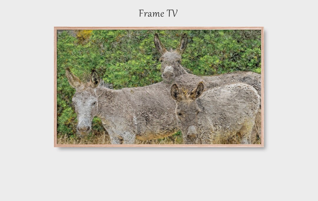 Art for the Frame TV, Family of Donkeys, Digital Painting | Digital ...