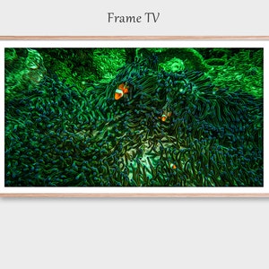 Clownfish Swimming in Coral Reef. Frame TV Art.. Underwater Fish. Sea ...