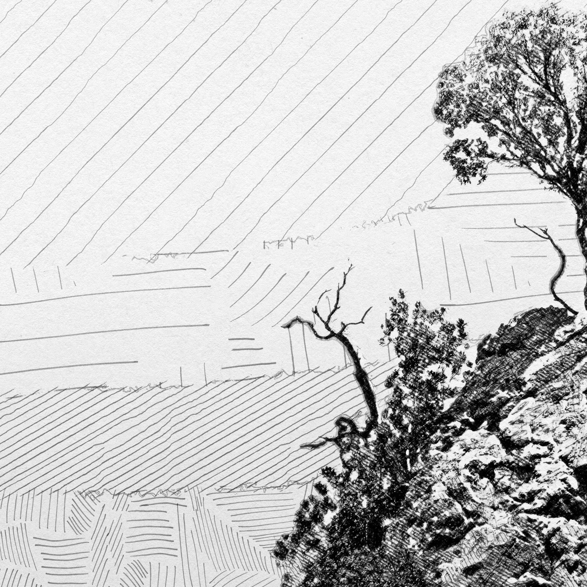 Single Tree on a Rock, Sketch | Minimalist Art | Digital Artwork ...