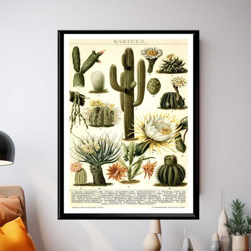 Cactus Poster - Etsy