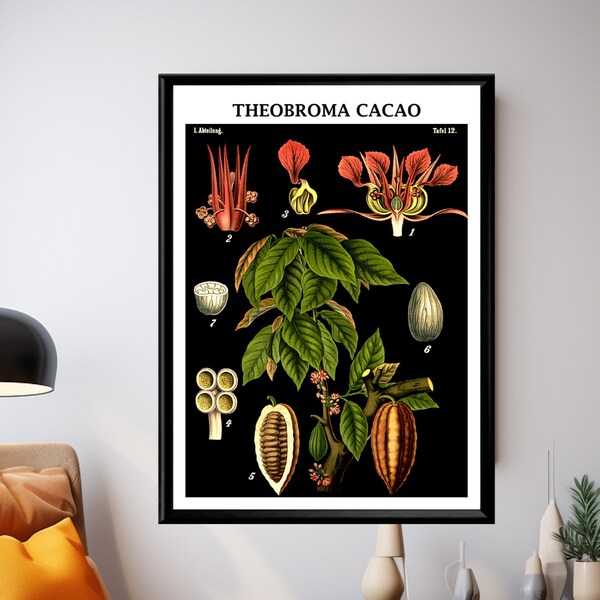 Theobroma Cacao - Etsy