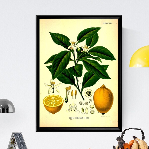 Lemon Tree Painting - Etsy