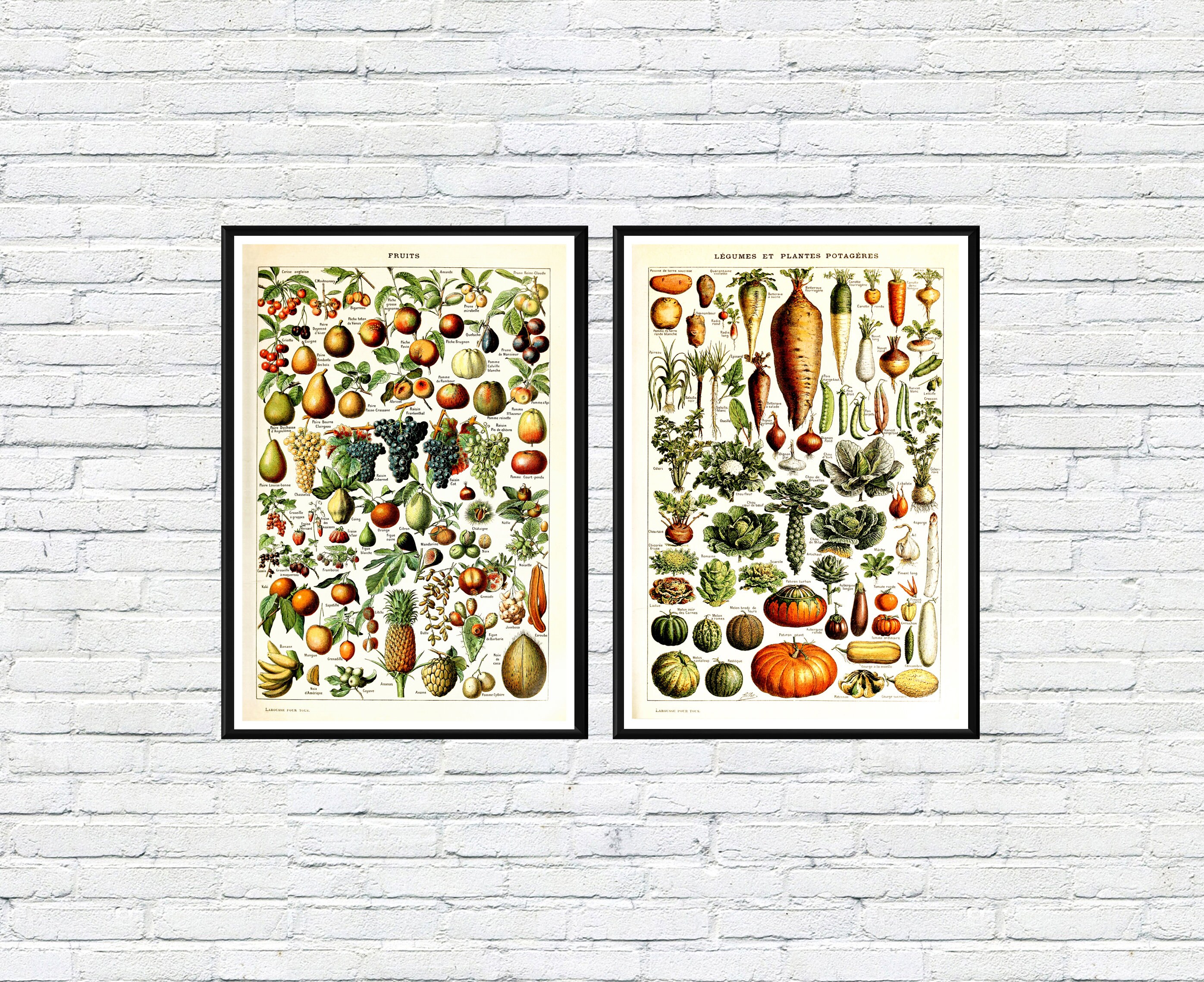 Fruits and Vegetables Prints Adolphe Millot Fruits and Vegetables ...