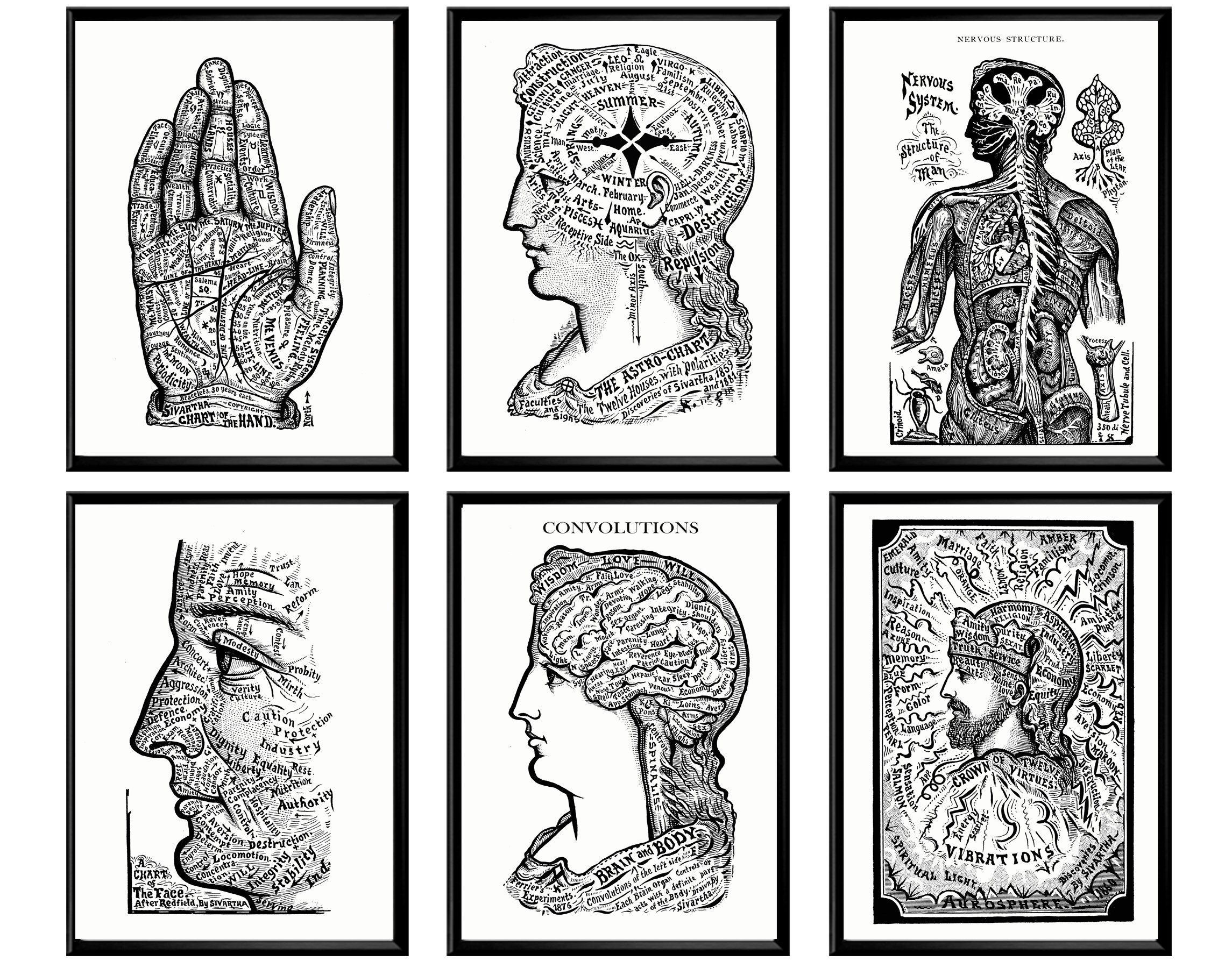 Vintage Anatomy Posters Human Body Map Posters Science - Etsy Australia