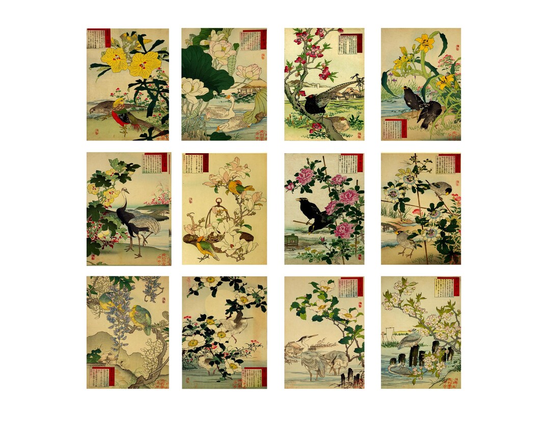 Kono Bairei Postcard Set of 12, Vintage Japanese Bird and Flower Art Prints, Botanical Nature ...