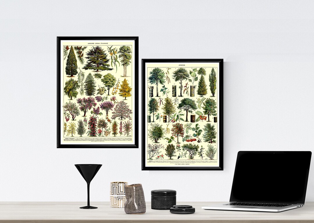Botanical Poster Set of 2 Trees Prints Vintage Trees - Etsy