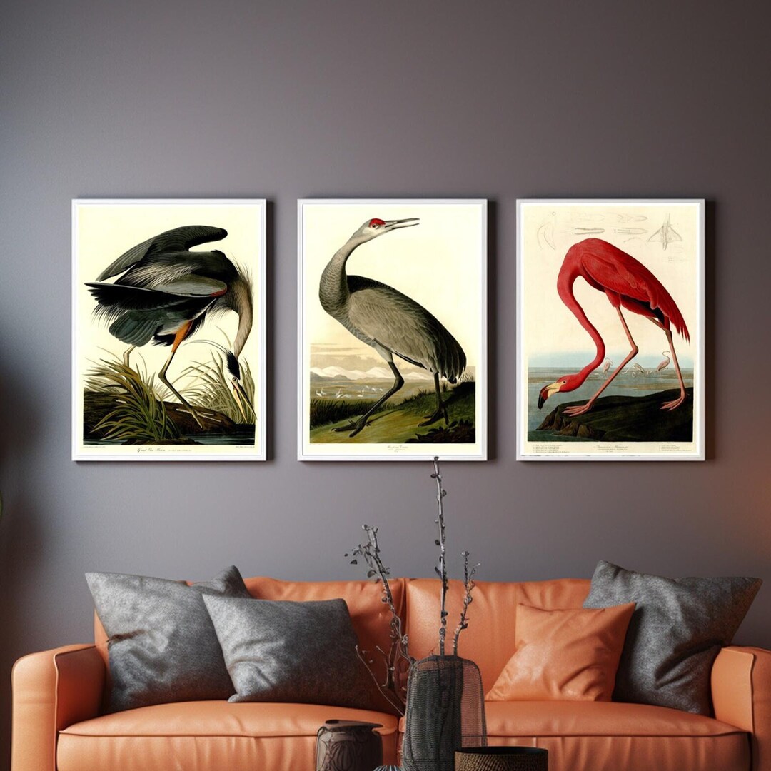 Audubon Wading Bird Poster Set of 3, Flamingo Heron Crane Prints ...