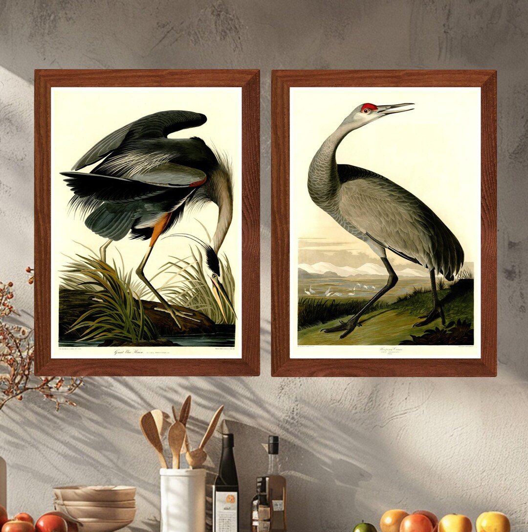 Audubon Wading Bird Poster Set, Great Blue Heron and Sandhill Crane ...