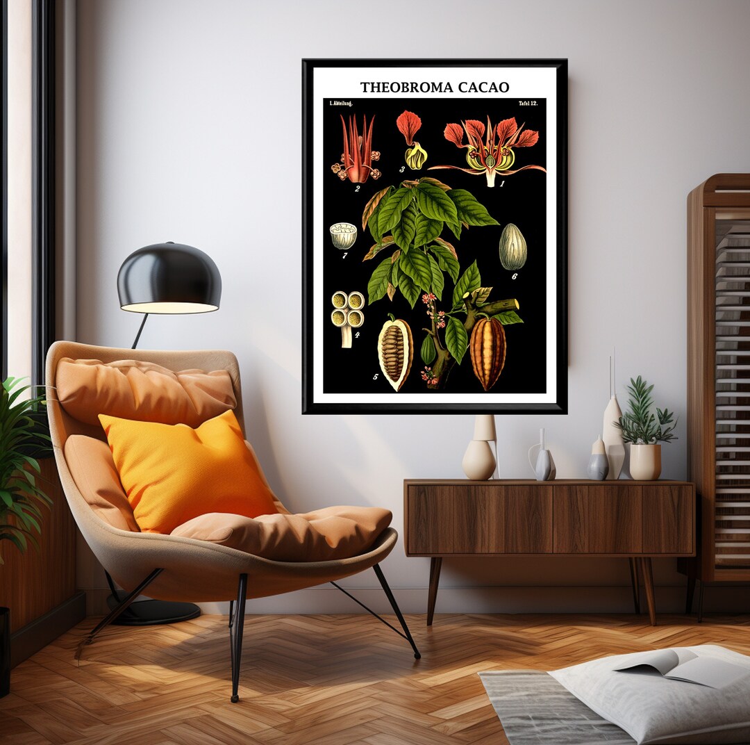 Vintage Cacao Tree Botanical Print, Theobroma Cacao Illustration ...