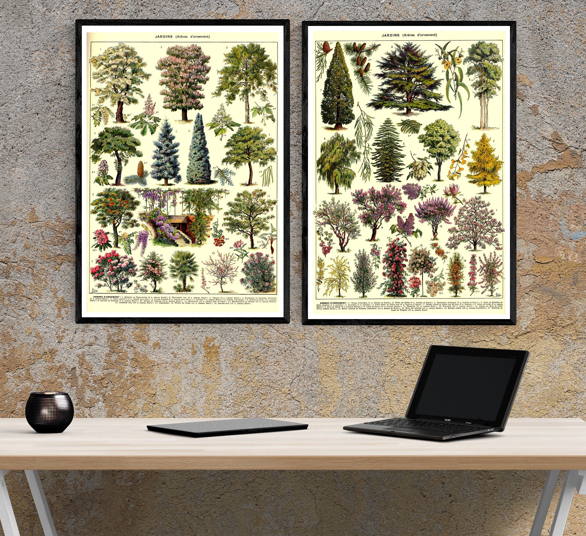 Trees Botanical Posters Set of 2 Trees Prints Vintage - Etsy