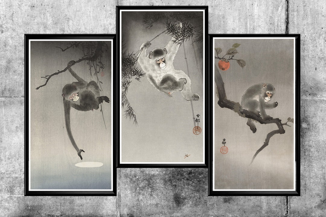 Funny Monkey Posters Set of 3 Vintage Japanese Prints by Ohara Koson - Etsy