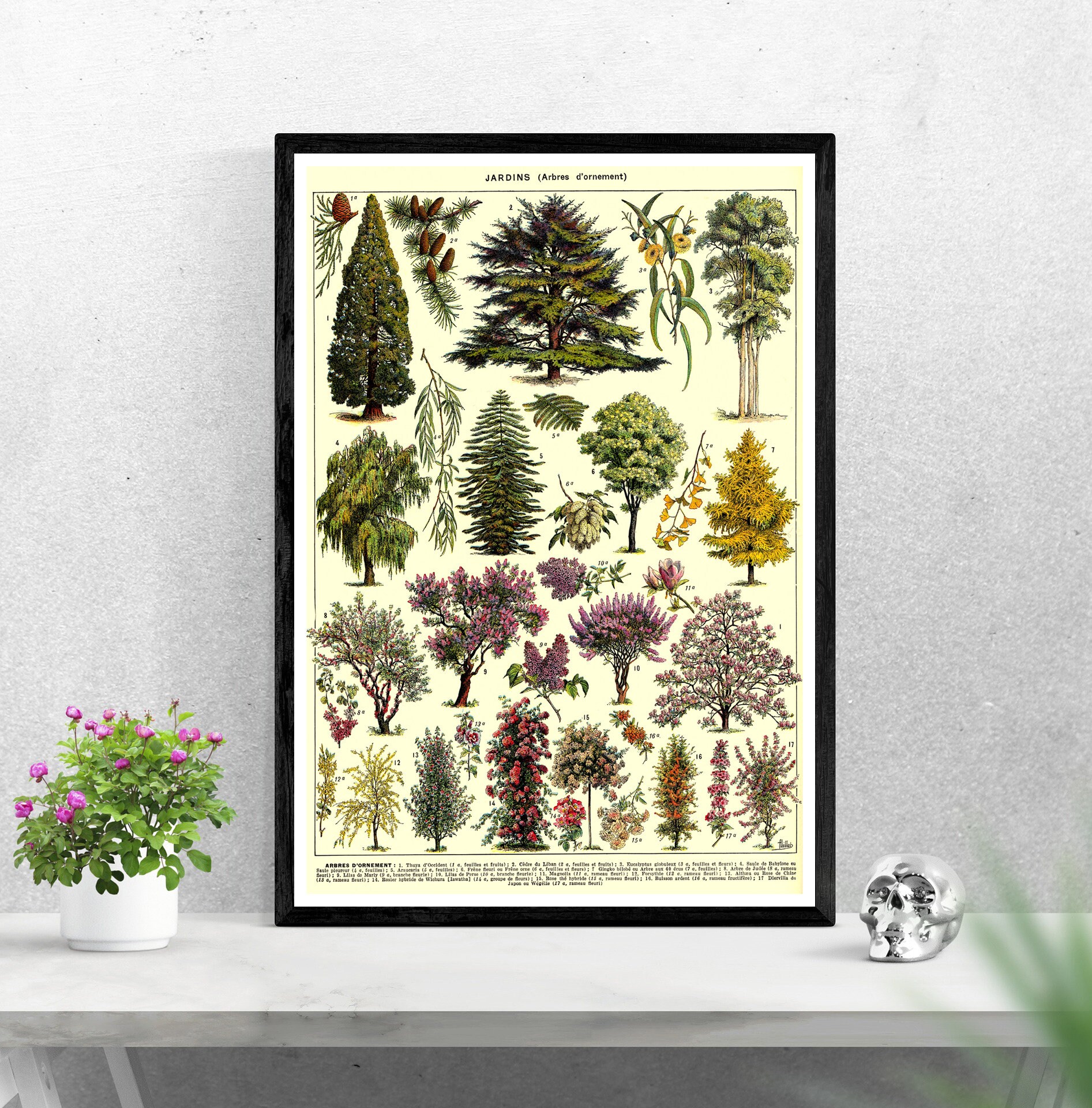 Trees Botanical Posters Set of 2 Trees Prints Vintage - Etsy