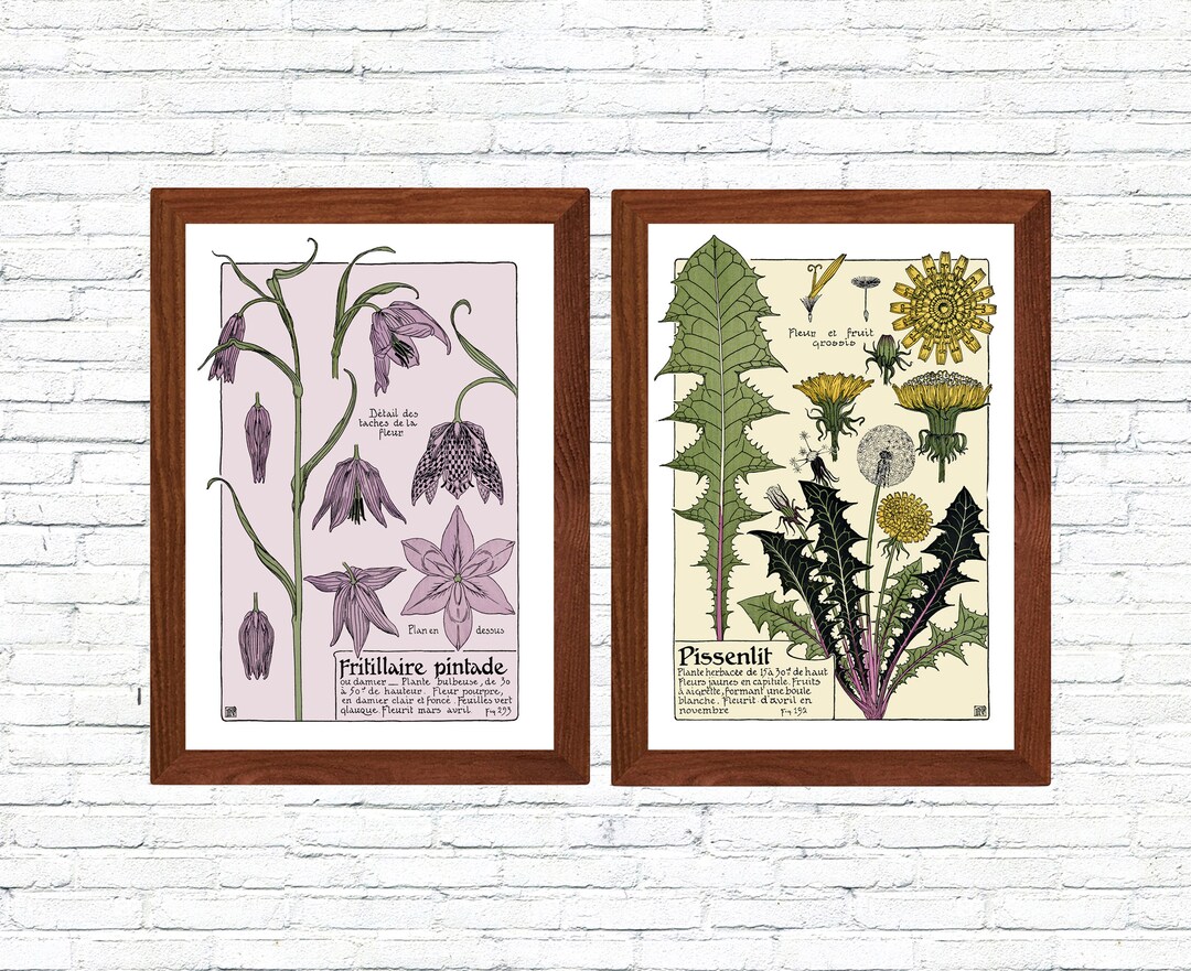 Set of 2 Vintage Botanical Posters, Maurice Pillar Verneuil Floral ...