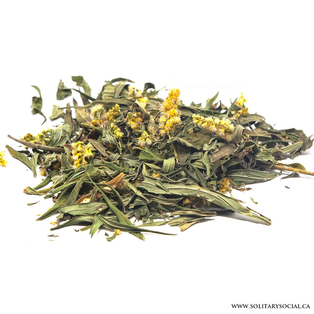 Dried Goldenrod Leaves and Flowers Natural Locally Grown in Canada - Etsy