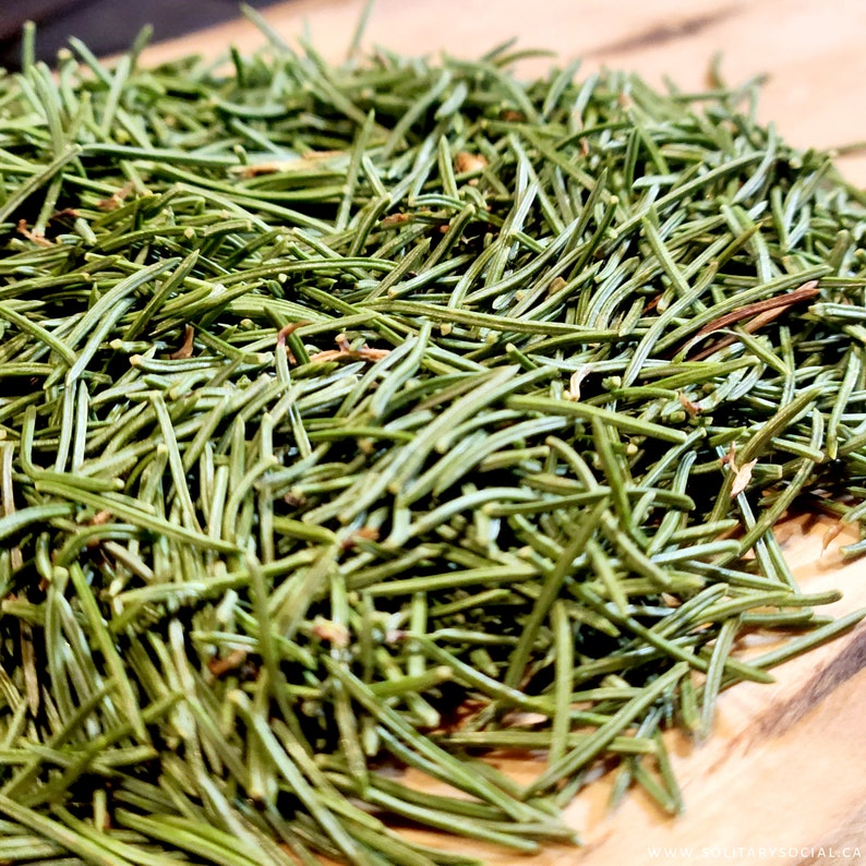 Dried White Spruce Needles White Pine Needle Tea - Etsy