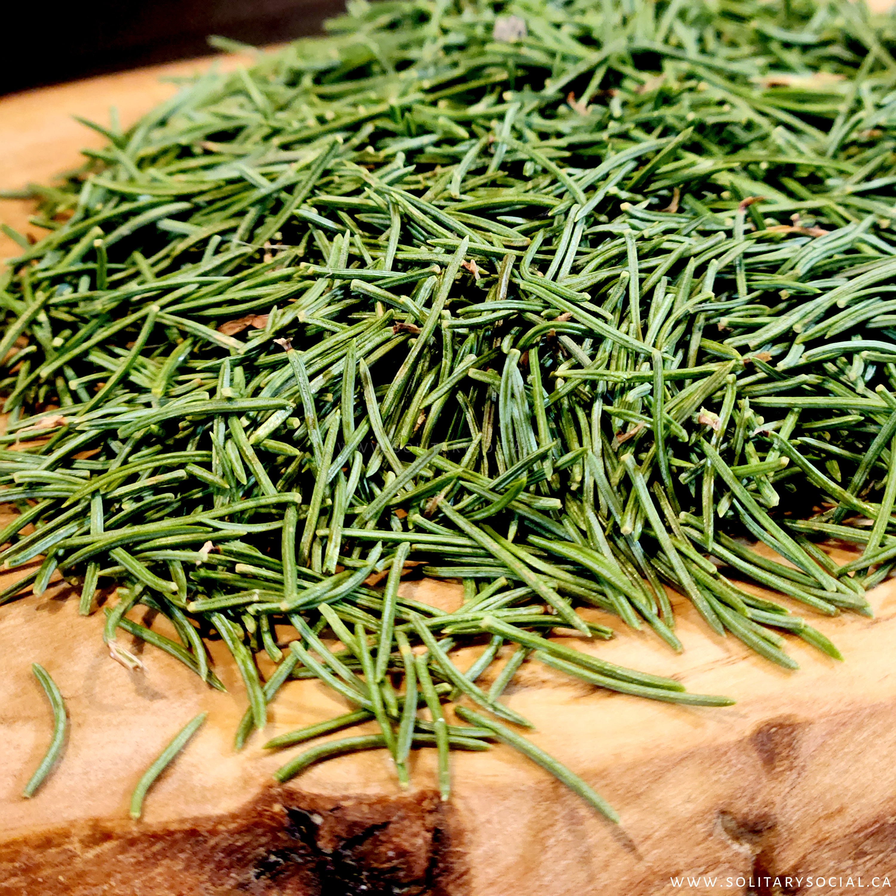Dried White Spruce Needles - White Pine Needle Tea - Etsy