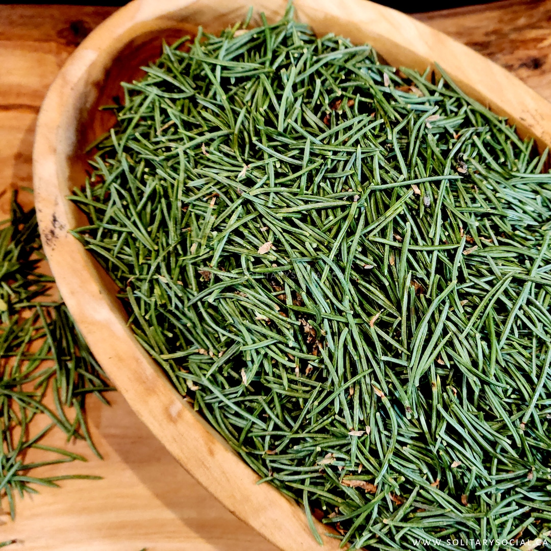 Dried White Spruce Needles - White Pine Needle Tea - Etsy