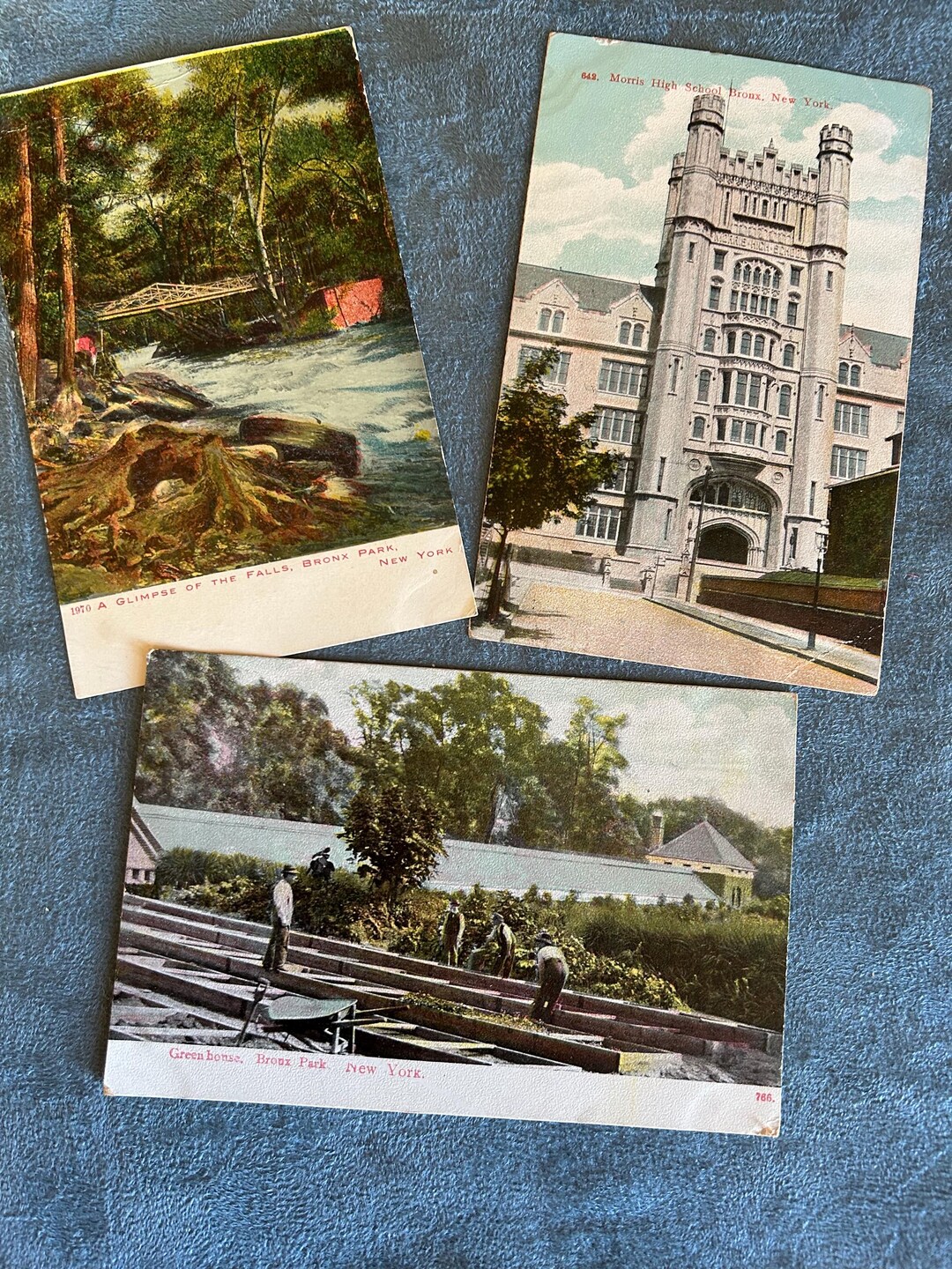 Vintage Bronx NY Postcards (set of 3) - Etsy