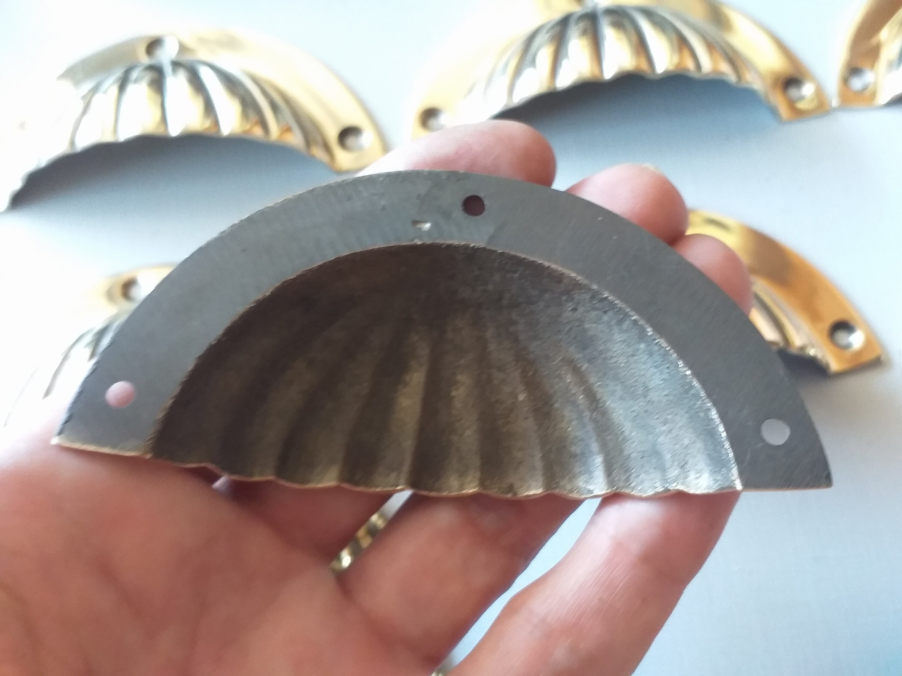 16 Vintage Style Heavy Cast Brass Shell Design D Cup Draw Pull - Etsy