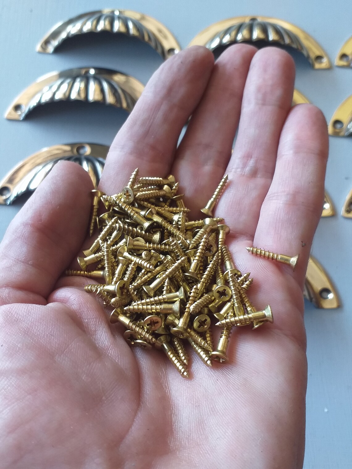 10 Vintage Style Heavy Cast Brass Shell Design D Cup Draw Pull Handles ...