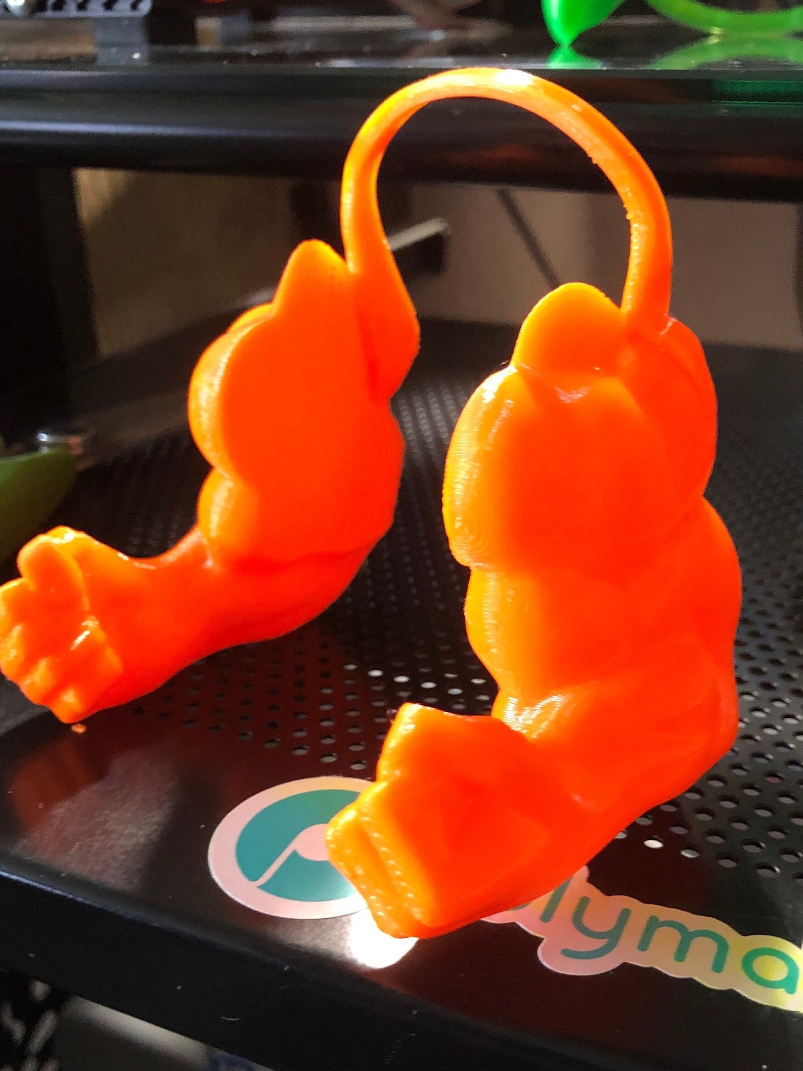 Hulk Arms for Chickens Funny Gifts Cute Accessories - Etsy