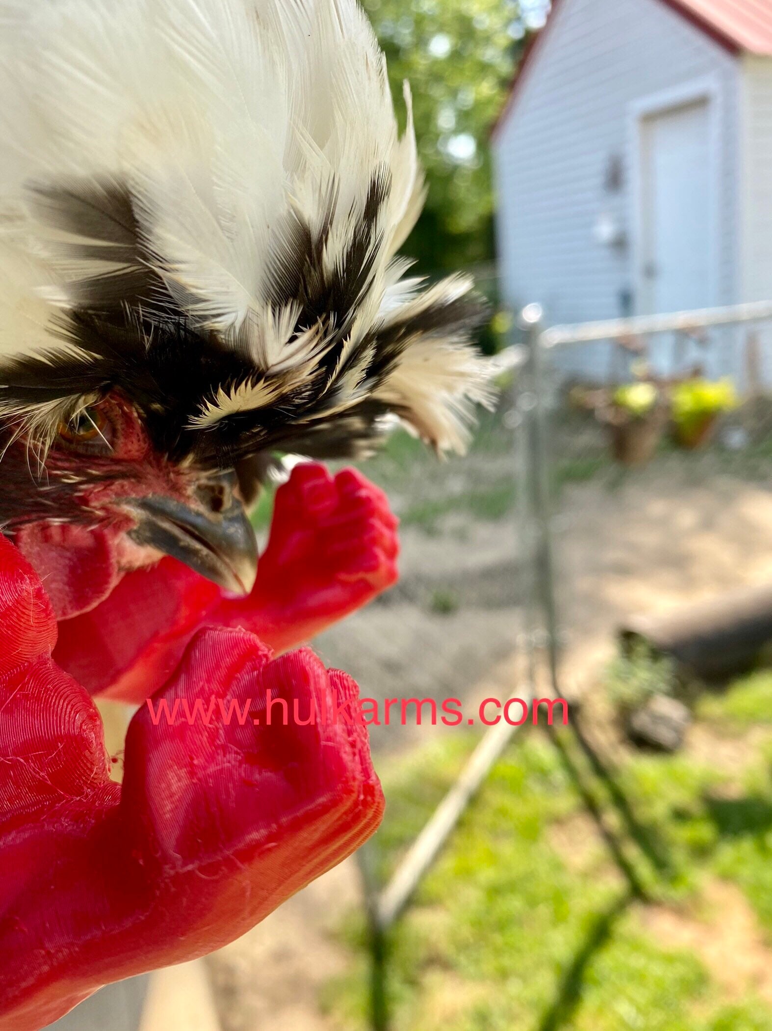 Hulk Arms for Chickens Funny Gifts - Etsy UK