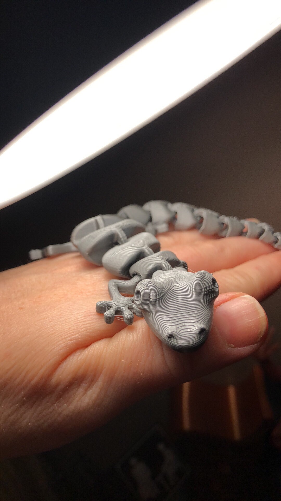 Lizard Articulating 3D Print - Etsy